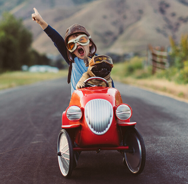 Family Law - Zivitz Law Group, P.C.